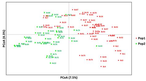 Principal Coordinate Analysis Pcoa Plot Showing The Two Download Scientific Diagram