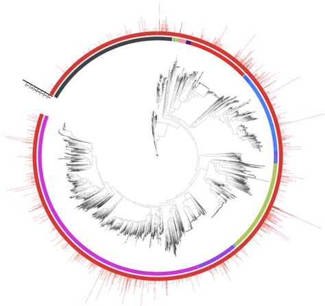 Github Trajkovski Labhumsub This Is A Repository Containing Code Necessary To Reproduce All