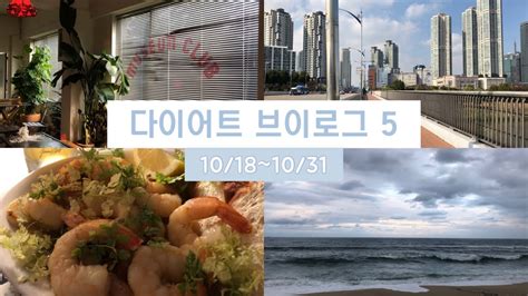 Vlog 갑자기 취업한 사람 아이폰13미니 충동구매 따릉이 중독 무~유직 다이어터 일상 Youtube