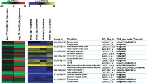 identification of alternatively spliced transcripts that show opposite