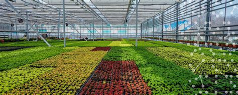 Smart Greenhouse System Iot Monitoring And Automation — Autogrow