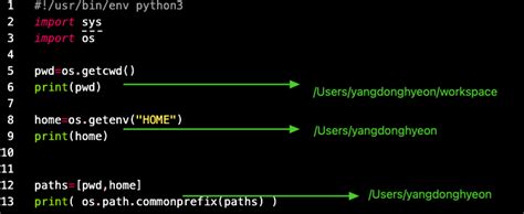 module 환경변수 os environ os path glob
