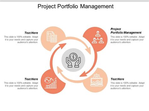 Project Portfolio Management Ppt Powerpoint Presentation Styles Icon Cpb