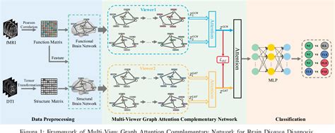 Figure 1 From Multi View Graph Attention Complementary Based Brain Networks Analysis For Brain