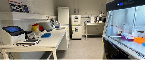 Thermal Two Phase Flow Lab