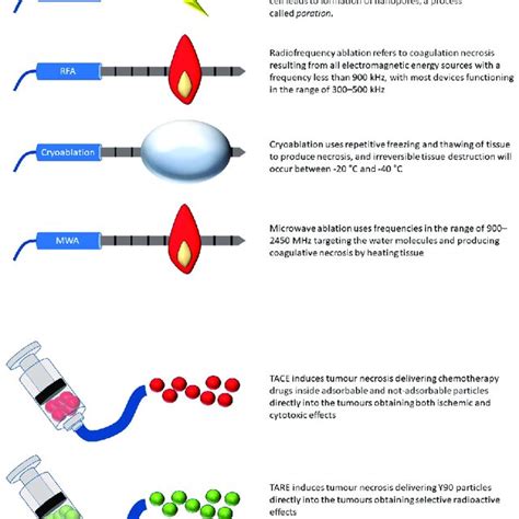 Endovascular Technique Immunotherapy Agents And Target Lesions Download Scientific Diagram