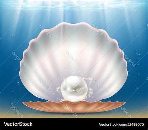 Open Beautiful Seashell With A Precious Pearl Vector Image