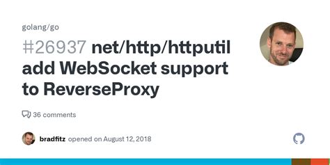 Netutil Add Websocket Support To Reverseproxy · Issue 26937 · Golanggo · Github