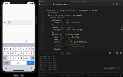 textfield：监视文本字段的值的变化与提交《 flutter 移动应用：表单 》 宁皓网