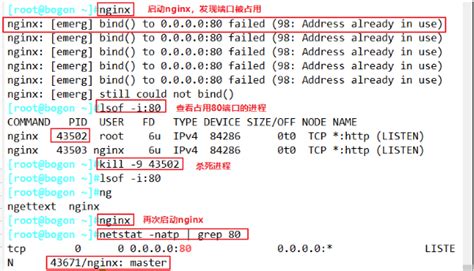 Haproxy Cooperate With Nginx To Build Web Cluster Deployment Experiment