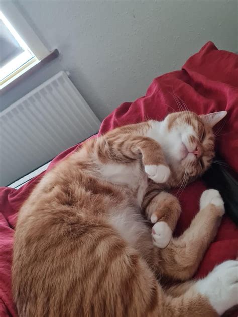 Rufus Giving Me An Error Screen Rtechsupport