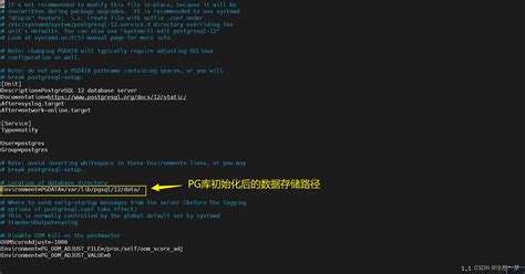 Linux Centos7 在线及离线安装postgresql12 详细教程centos7安装pg Csdn博客