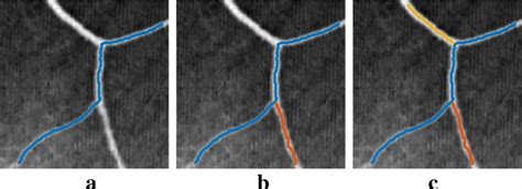 The First Three Iterations Of The Sequential Extraction Process After