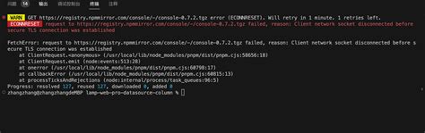 pnpm install 安装一直失败 好难受 求大佬指点一下 Issue zuihou lamp web GitHub