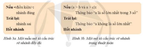 Tin Học 8 Bài 4 Cánh Diều Thể Hiện Cấu Trúc Rẽ Nhánh Trong Chương