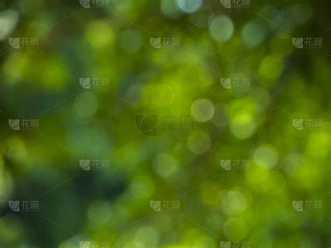 自然绿色模糊背景