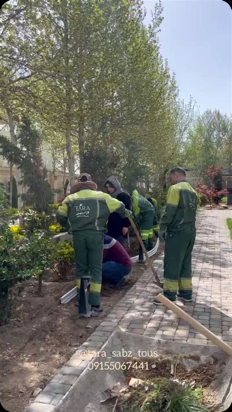 ‎نوار جدا کننده دیوایدر وسایل محوطه سازی نور پردازی‎ ‎بهشت کوچک روی زمین اما برای خلق