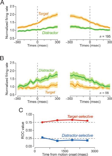 dynamics of the object selective response in the population of neurons