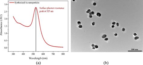 A Absorbance Spectra Of Synthesized Au Nps B Hr Tem Image Of Au Nps
