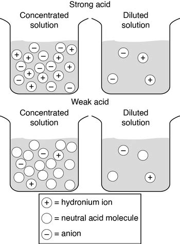 Answered Concentrated Solution Weak Acid Diluted Solution