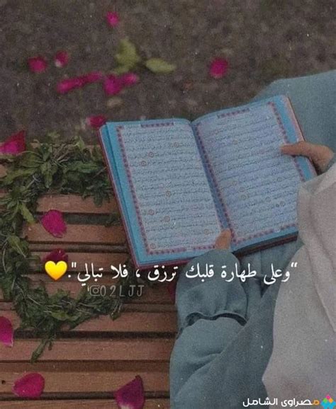 خلفيات واتس اب للبنات جديدة 2024 مصراوى الشامل