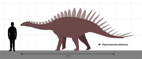 Thyreosaurus Atlasicus By Slvrhwk On Deviantart