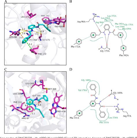 Figure 2 From Identifying Novel Selective PPO Inhibitors Through Structure Based Virtual