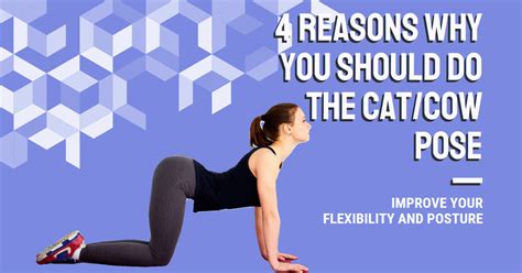 4 Reasons Why You Should Do The Catcow Pose The Rover Post