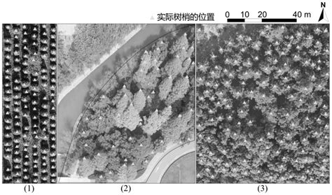 Single Plant Crown Detection Method Based On End To End Deep Learning Method Eureka Patsnap