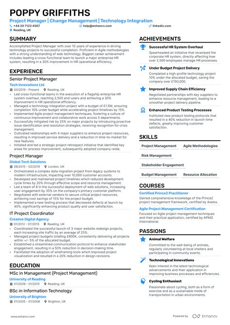 Project Manager CV Examples Guide For