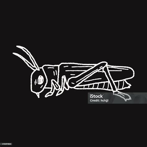 Grasshopper Doodle Stock Illustration Download Image Now 2015