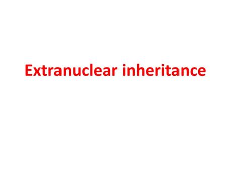 Extranuclearinheritancepptx