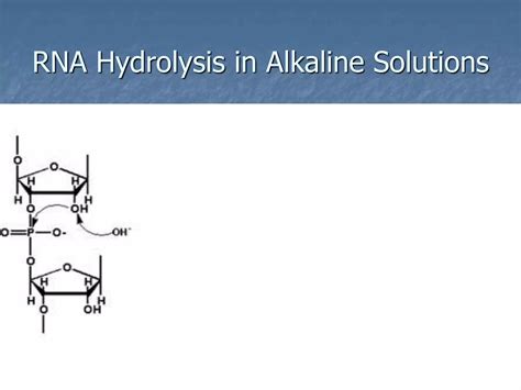 Dna Structure Lecture Ppt