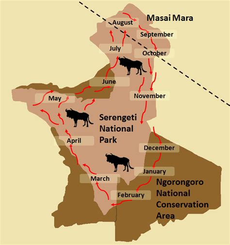 The Ultimate Serengeti National Park Safari Guide