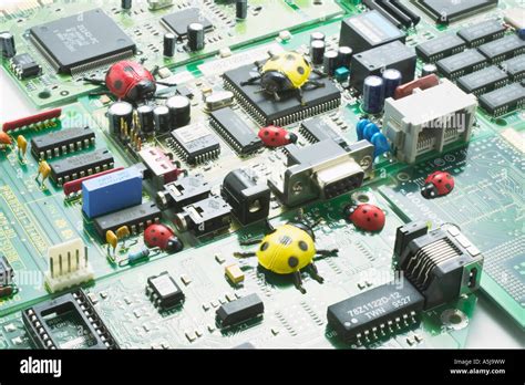 Computer Bugs On Circuit Board Stock Photo Alamy