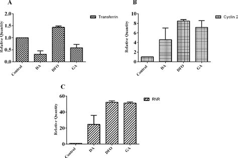 Relative Gene Expression Of Iron Dependent Genes Rt Qpcr Analysis Of Download Scientific