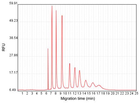 High Range Rna Ladder High Range Rna Ladder