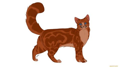 Кошка для детей на прозрачном фоне картинки и фото Koshka Top