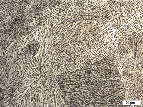 Initial Microstructure Of Alloy Download Scientific Diagram