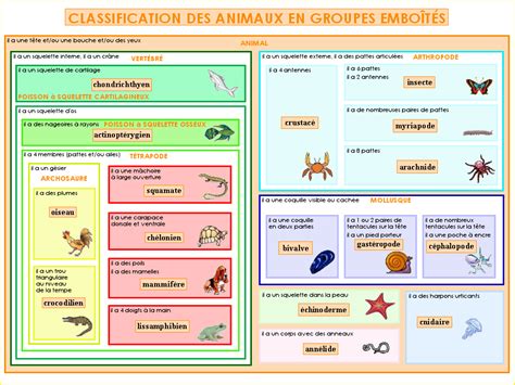 La Classification Des Animaux