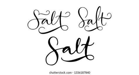 Word Salt Written Modern Calligraphy Style Stock Vector Royalty Free