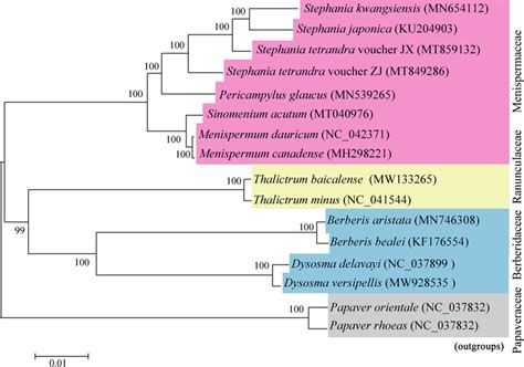 Phylogenetic Relationships Based On The Conserved Chloroplast Protein Download Scientific