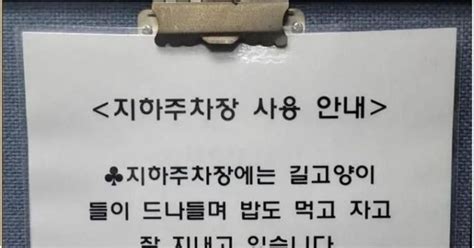 이 주차장은 캣맘이 접수했다