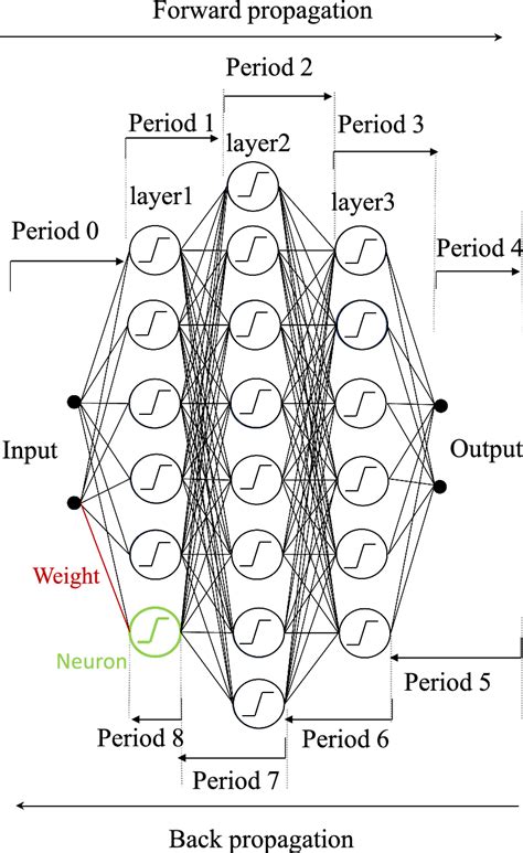 Illustration Of Periods In Parallel Mlp Training Download Scientific Diagram