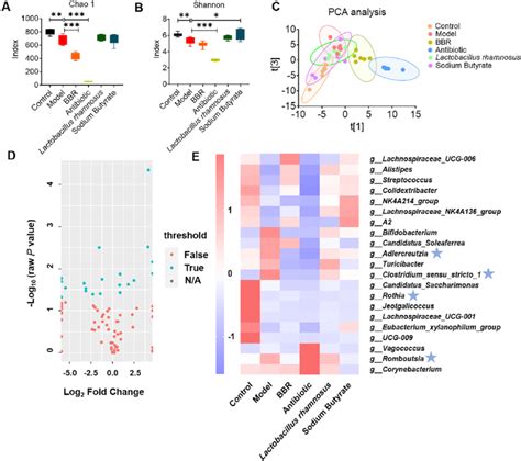 Bbr Modulated Gut Microbiota Diversity In Ckd Model Rats A B Bbr Download Scientific