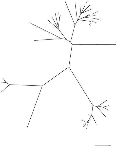 Neighbour Joining Dendrogram Derived From The Deduced Protein Sequences