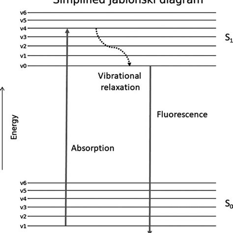 Numerical Aperture Na Not Magnification Sets The Spatial Resolution Download Scientific