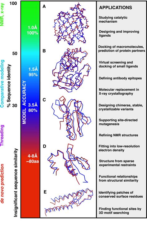 What Is Protein Structure Prediction At Jeanette Taylor Blog