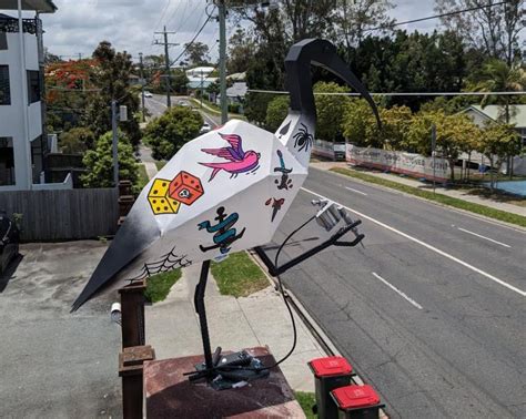 Brisbanes Bin Chicken Trail Honours The Australian White Ibis
