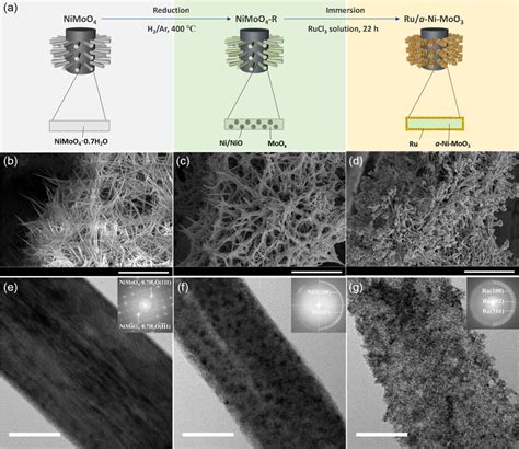Enhanced Ph‐universal Hydrogen Evolution Reactions On The Ruanimoo3